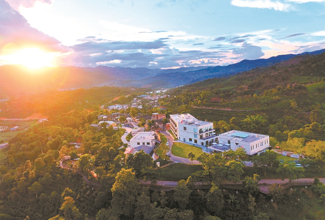 自然与风味的深度碰撞